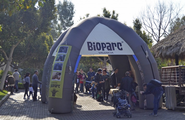 Bioparc Valencia realiza un complicado traslado de dos pitones, una de ...