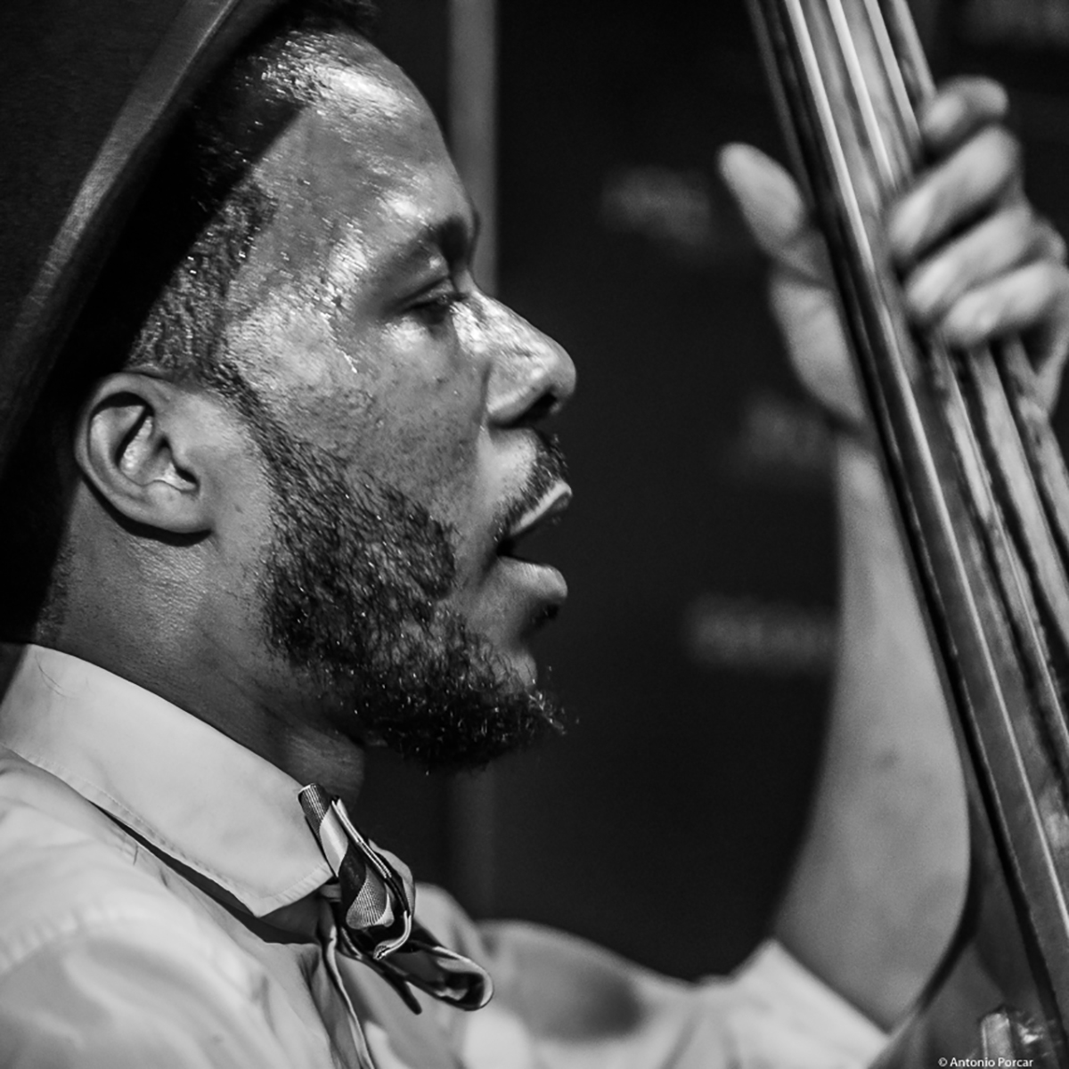 Jason Palmer, Mark Turner, Joe Sanders y Sarah Elizabeth Charles, en el ...